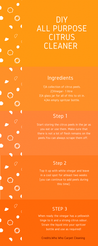 DIY All Purpose Citrus Cleaner Infographic - Who Who Carpet Cleaning